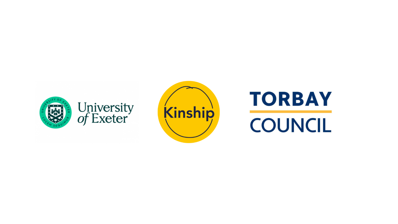 Understanding kinship carer networks to inform targeted support - Kinship